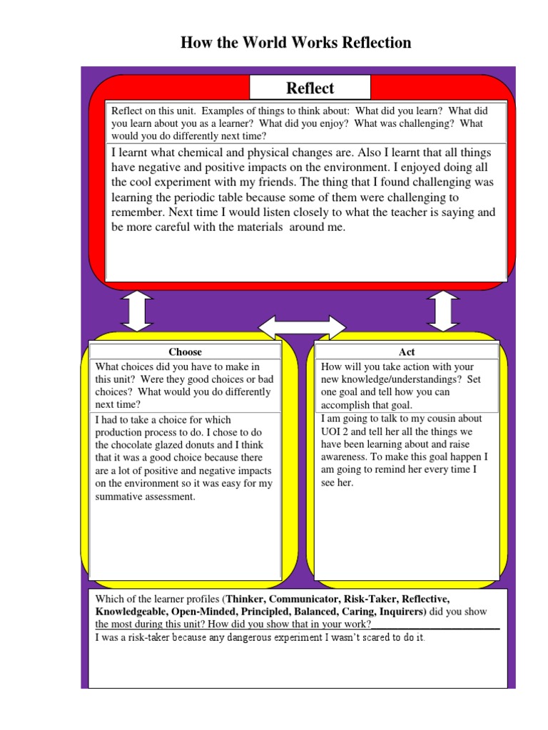 Reflection on Learning and Choices | PDF | Self-Improvement
