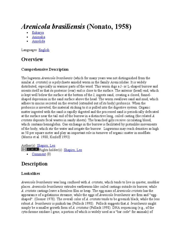 Overview of Arenicola brasiliensis | PDF | Spawn (Biology) | Nature