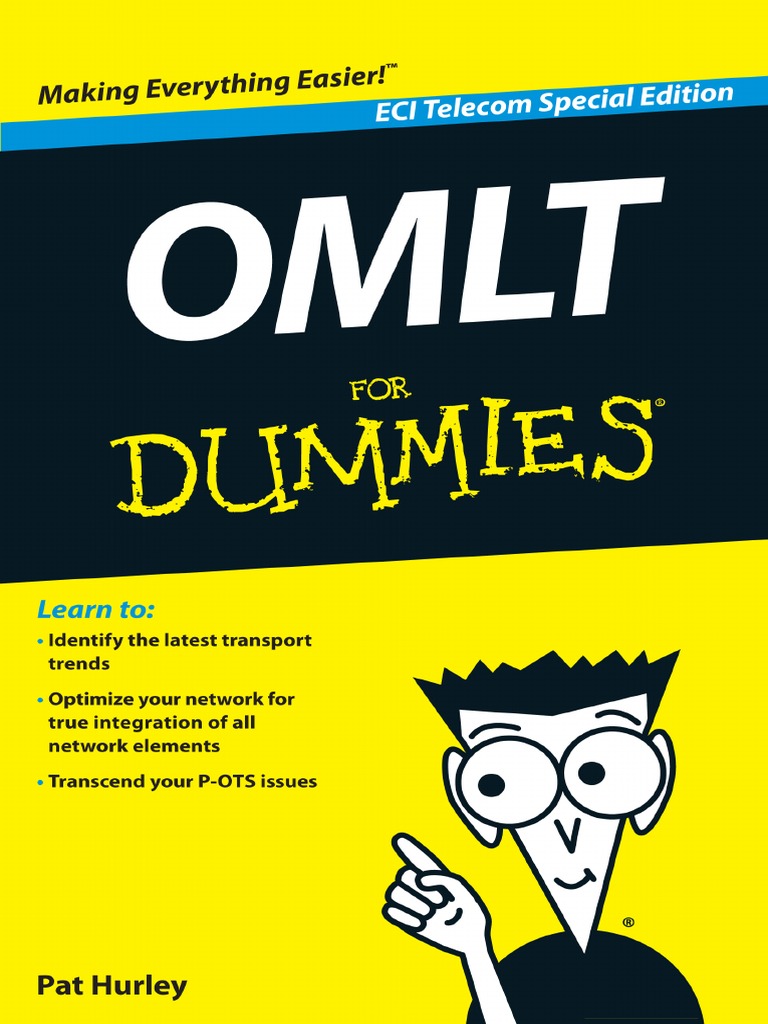 OMLT For Dummies | PDF