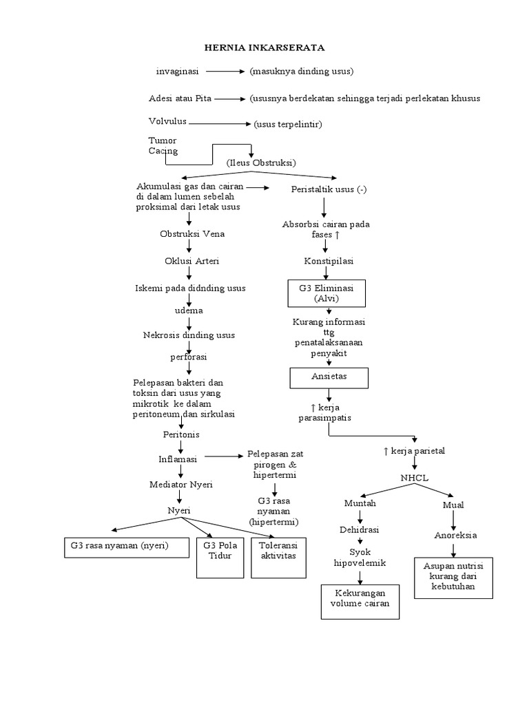 Woc Hernia Inkarserata | PDF