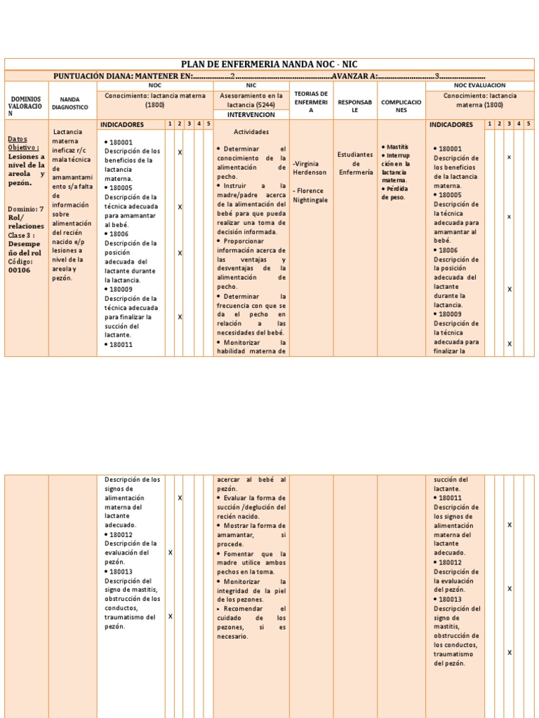 Plan de Cuidado-Alojameinto | PDF