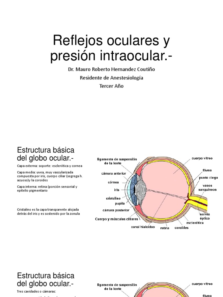 Reflejos oculares y presión intraocular | Ojo humano | Ojo