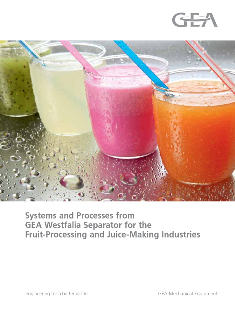 GEA WS Juice-Brochure | PDF | Juice | Diet & Nutrition