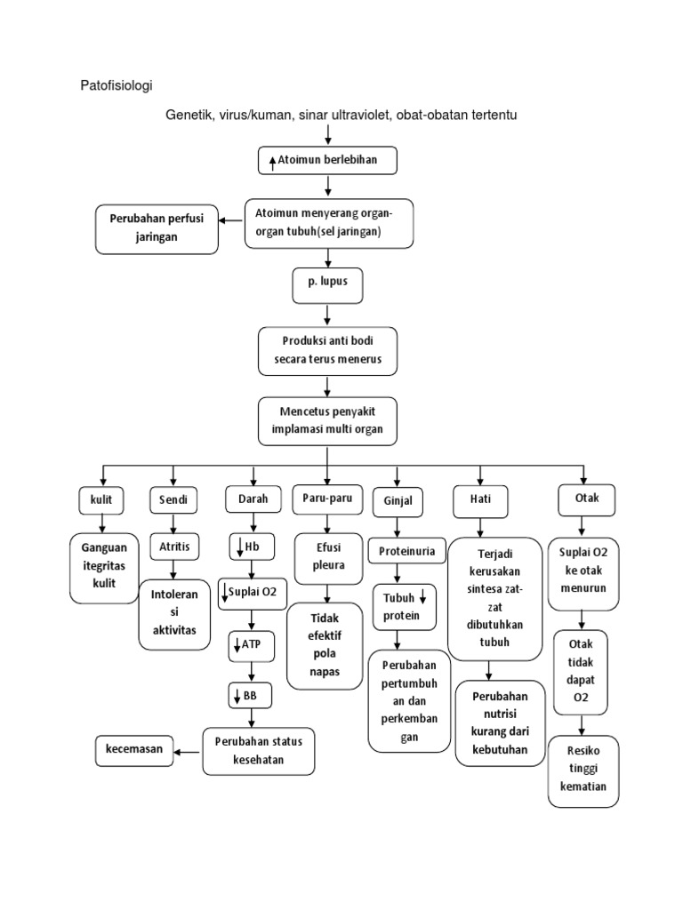 Patofisiologi SLE | PDF