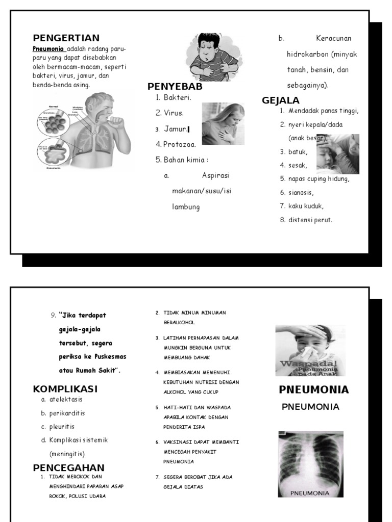 Leaflet Pneumonia | PDF