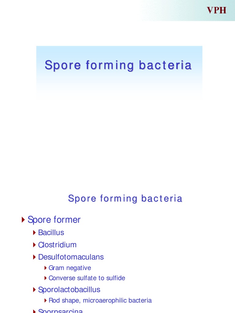 Spore Forming Bacteria | PDF | Botulinum Toxin | Medical Specialties