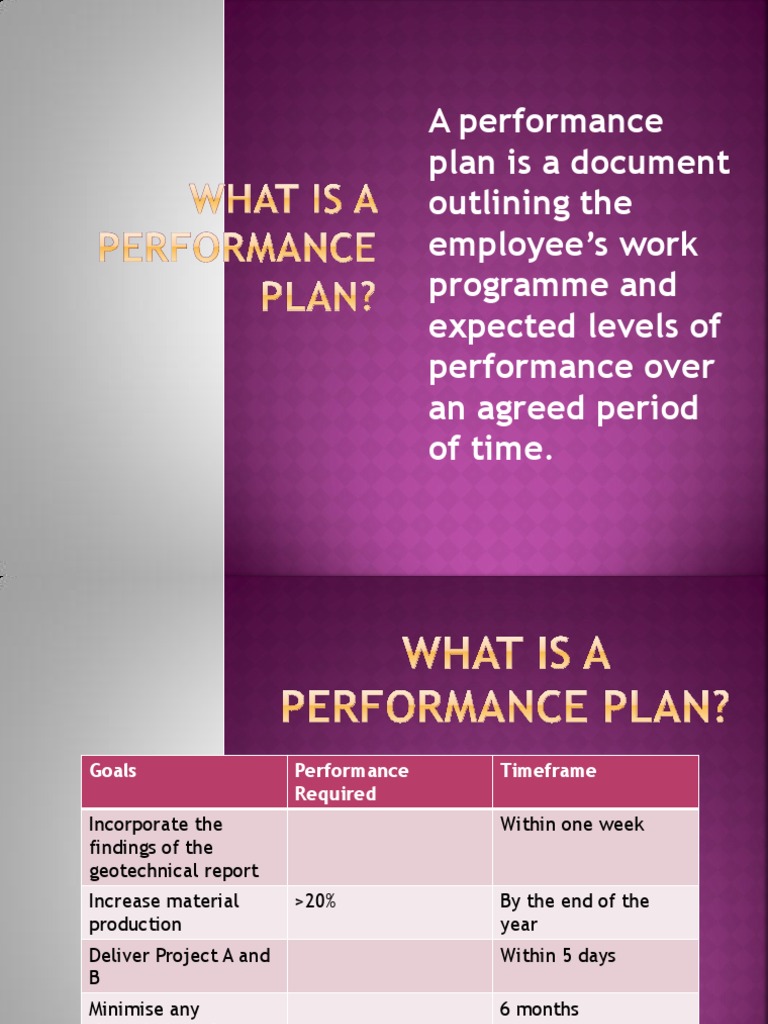 Employee Performance Plan Overview | PDF