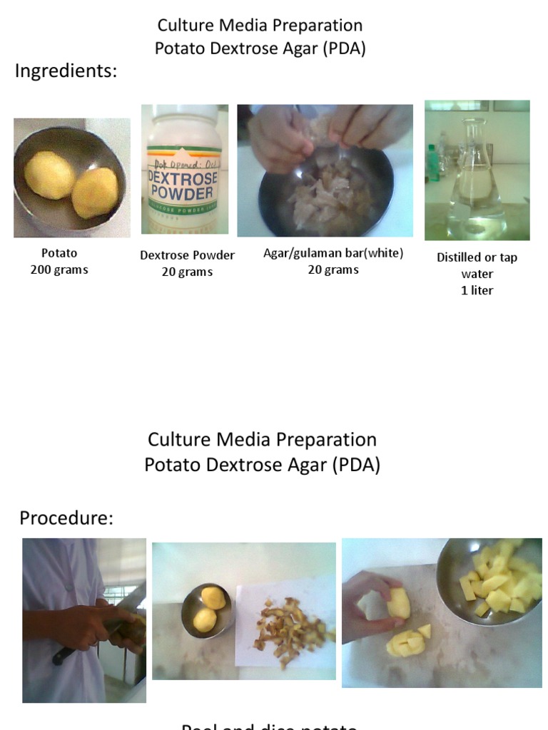 Potato Dextrose Agar Preparation Guide | PDF