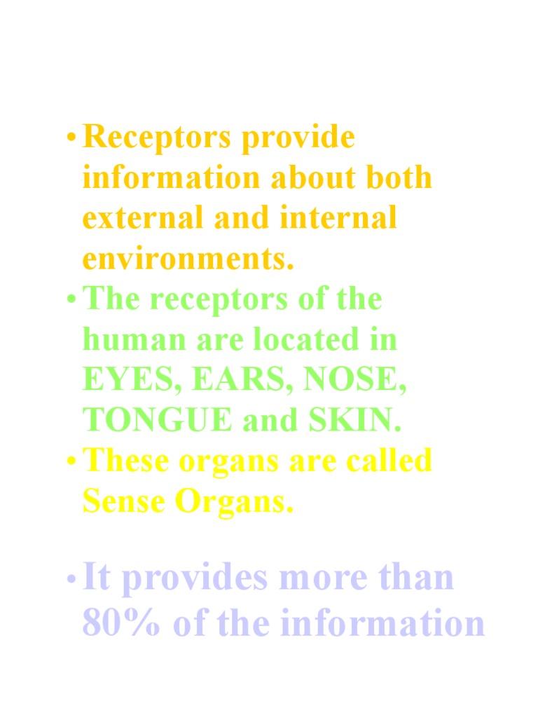 10-Sense Organs | PDF | Ear | Taste