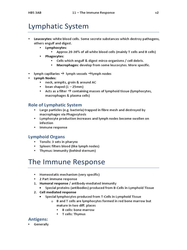 Immune Response and Lymphatic System Overview | PDF | Lymphatic System ...