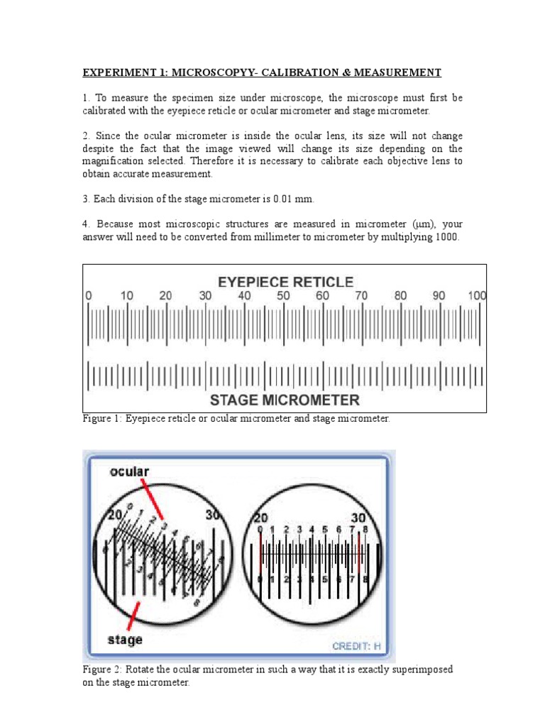 Experiment 1: Microscopyy - Calibration & Measurement 1. To Measure The ...
