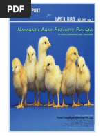 Commercial Poultry Farm Project Proposal PDF | PDF | Poultry Farming ...