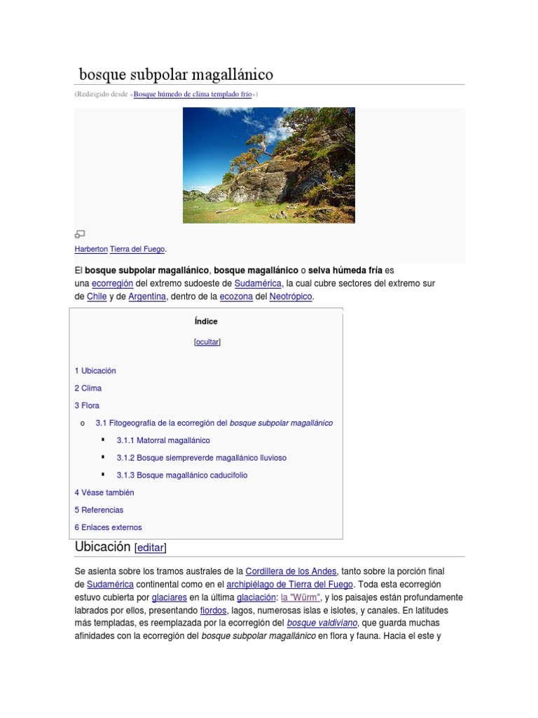 Bosque Subpolar Magallánico | PDF | Geografía Física | Ciencias de la ...