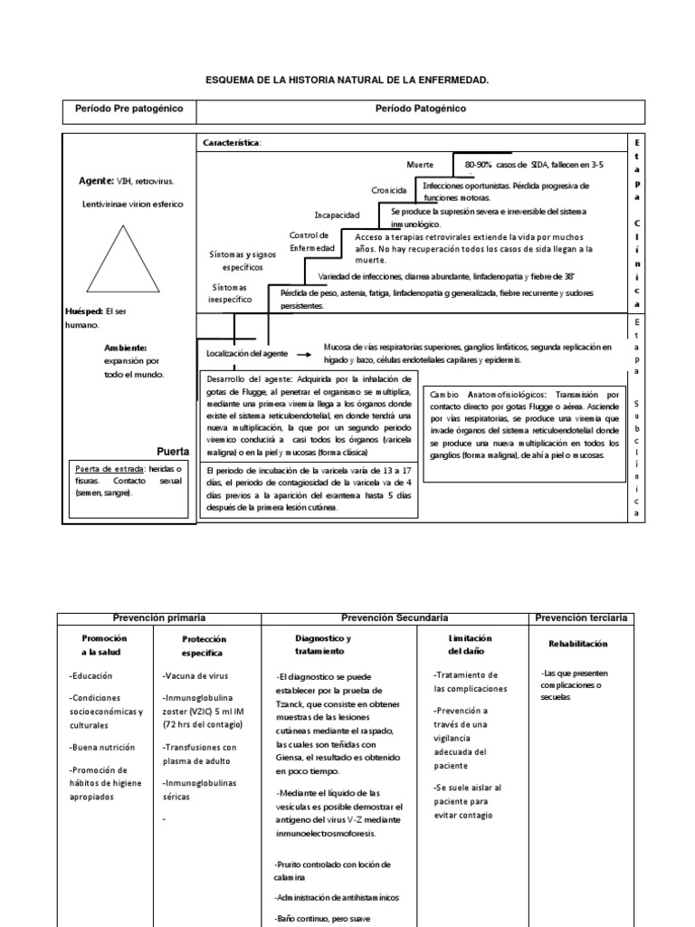 Esquema de La Historia Natural de La Enfermedad | PDF | VIH / SIDA ... Esquema de La Historia Natural de La Enfermedad | PDF | VIH / SIDA ...