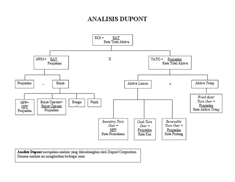 Analisis Dupont 1 | PDF | Bisnis | Komputer