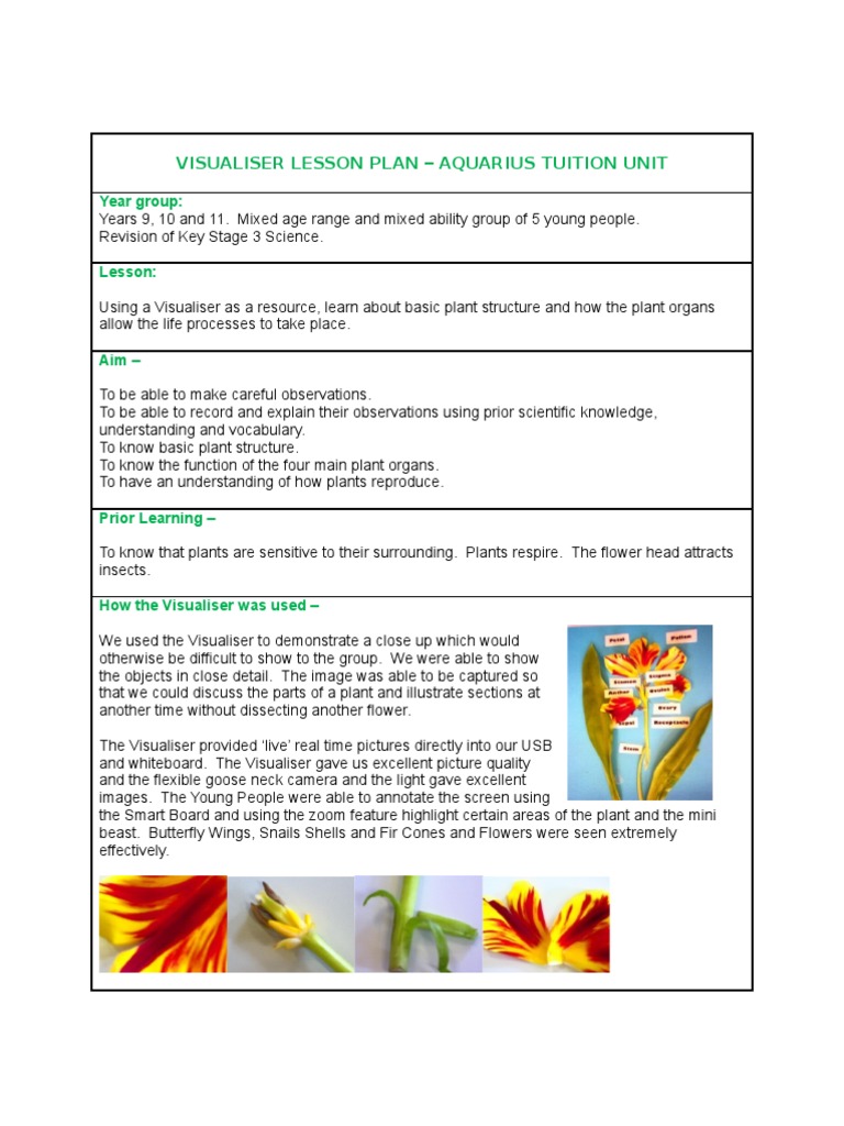 Plant Structure Lesson Plan with Visualiser | PDF