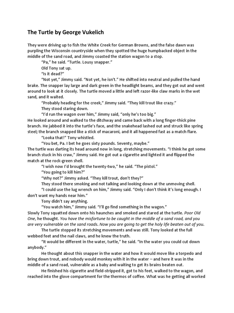 The Turtle by George Vukelich | PDF