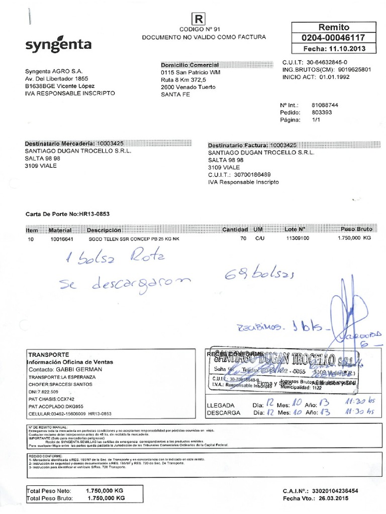 Remito Model PDF | PDF