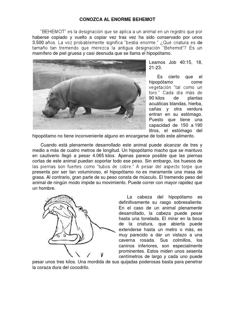 Conozca Al Enorme Behemot | PDF