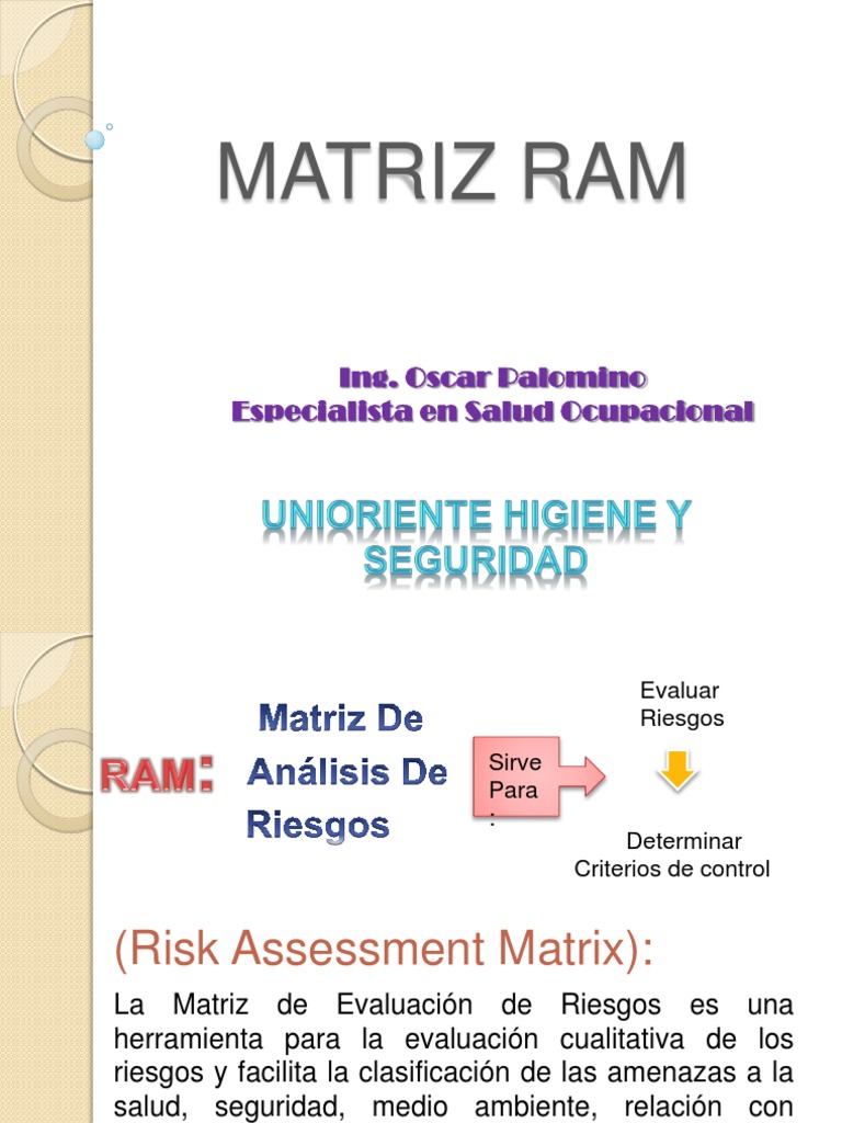 Matriz RAM | PDF | Riesgo | Probabilidad