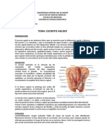 Anatomía del Escroto y Testículos | PDF | Testículo | Especialidades ...