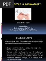 Anatomi Lengkap Esofagus | PDF