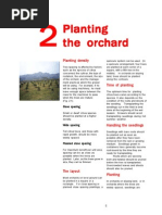 Method of Layout Orchard | PDF | Plants | Trees
