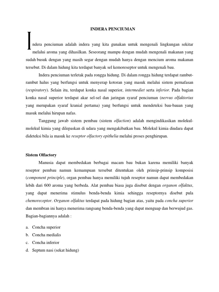 Indera Penciuman Dan Indera Pengecap PDF | PDF