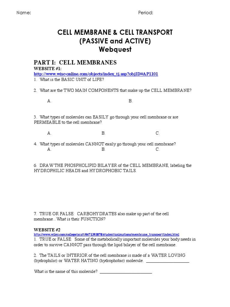 Cell Membrane and Transport Webquest | PDF | Osmosis | Lipid Bilayer
