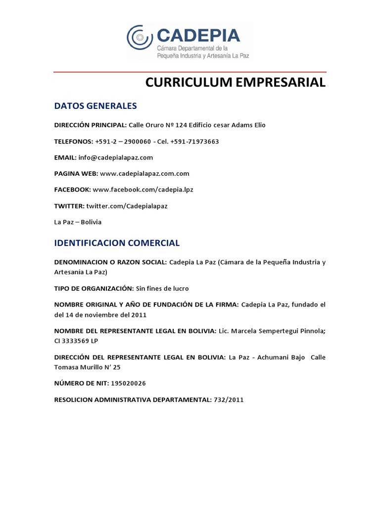 Curriculum Empresarial | Pequeñas y medianas empresas | Organización ...