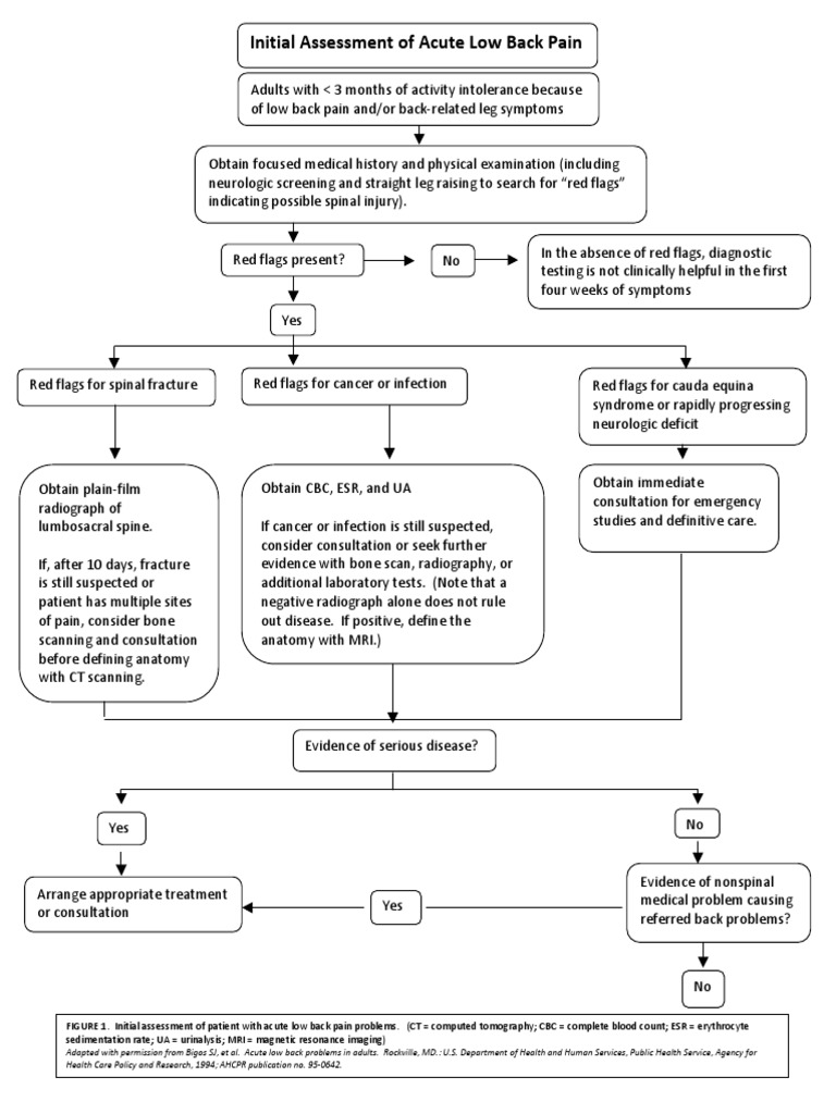 Initial Assessment of Acute Low Back Pain | PDF | Diseases And ...