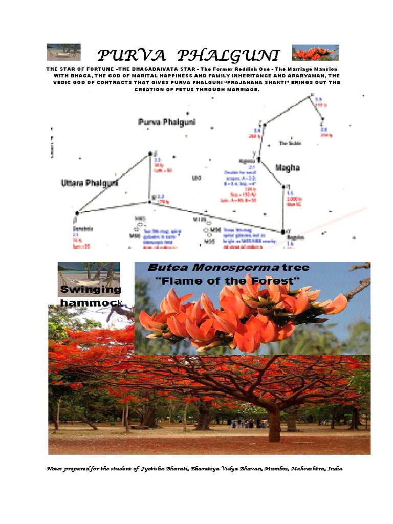 Purva Phalguni - The Star of Fortune | PDF | Religion And Belief | Science