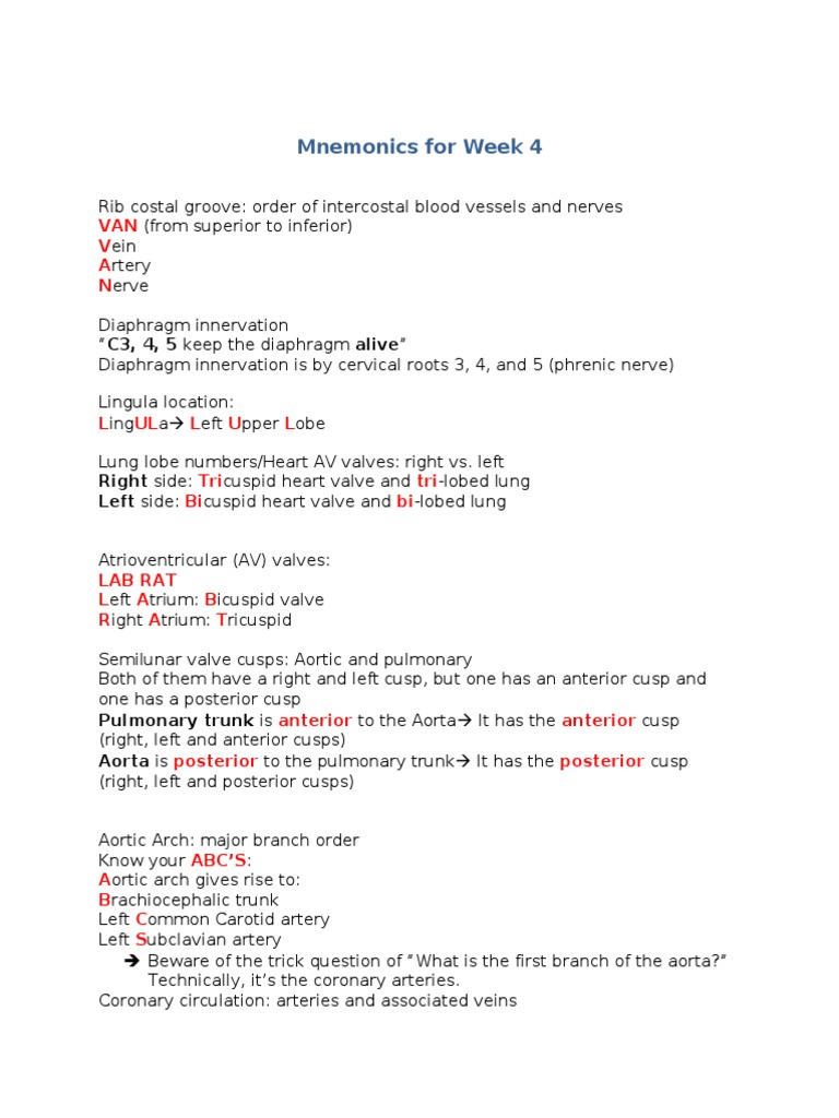 Mnemonics Unit 2 | PDF | Heart Valve | Aorta