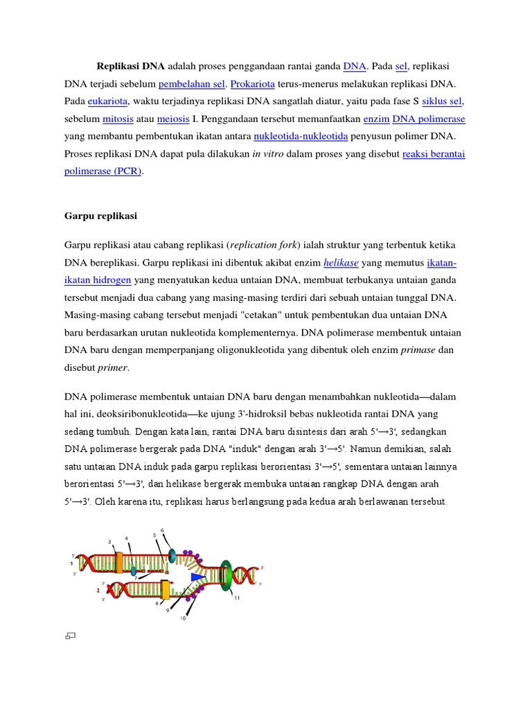 Proses dan Dinamika Replikasi DNA | PDF