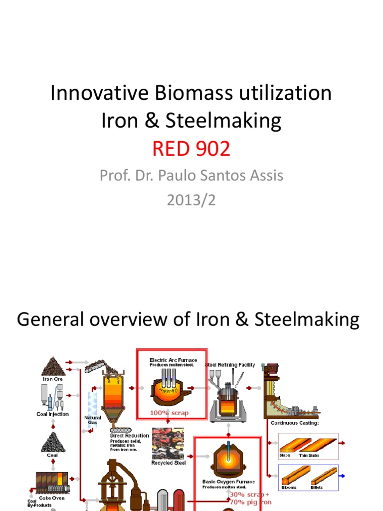 Biomass in Iron and Steelmaking Processes | PDF | Biomass | Biofuel