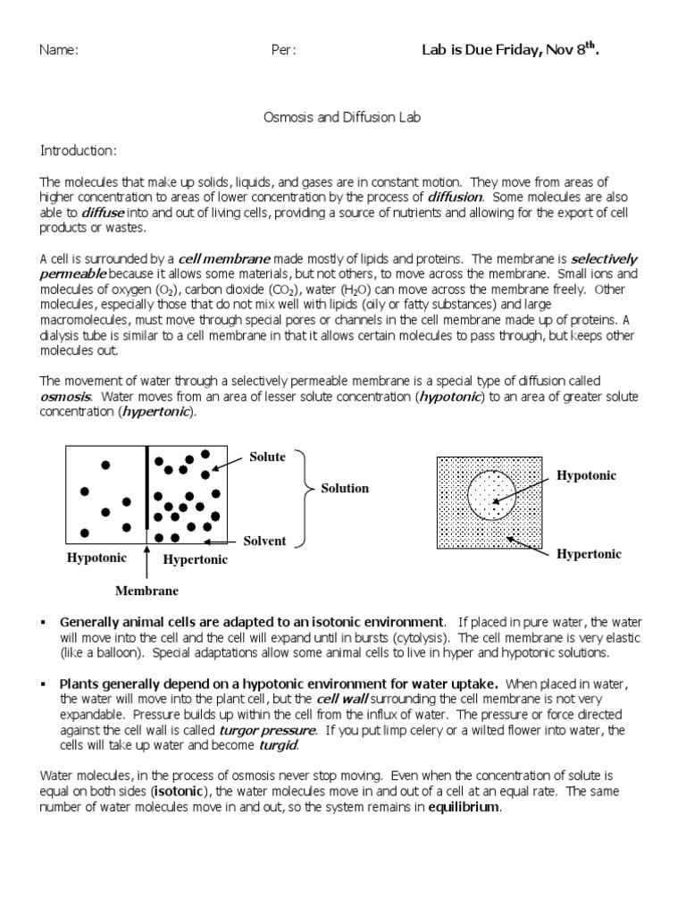 Osmosis and Diffusion Lab Overview | PDF | Osmosis | Cell Membrane