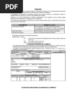 Ejemplo de Pedimento | PDF | Economias | Business