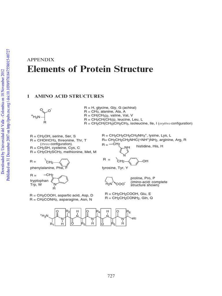Protein Structure: Amino Acids & Sheets | PDF | Foreign Language Studies | Science & Mathematics