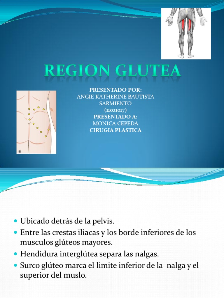 Anatomia Glutea (Expo) | PDF | Nalgas | Pelvis