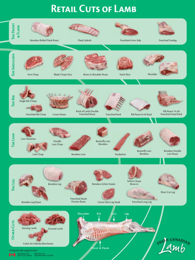 Retail Cuts of Lamb Explained | PDF | Cooking, Food & Wine