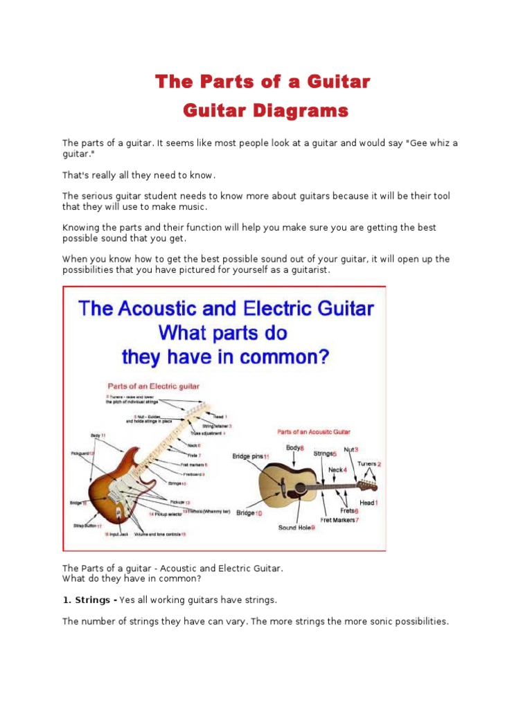 The Anatomy of Sound: A Breakdown of the Key Parts of Acoustic and ...