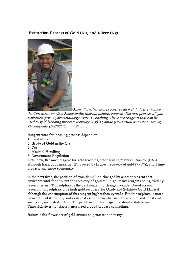 Extraction Process of Gold | PDF | Gold | Industries