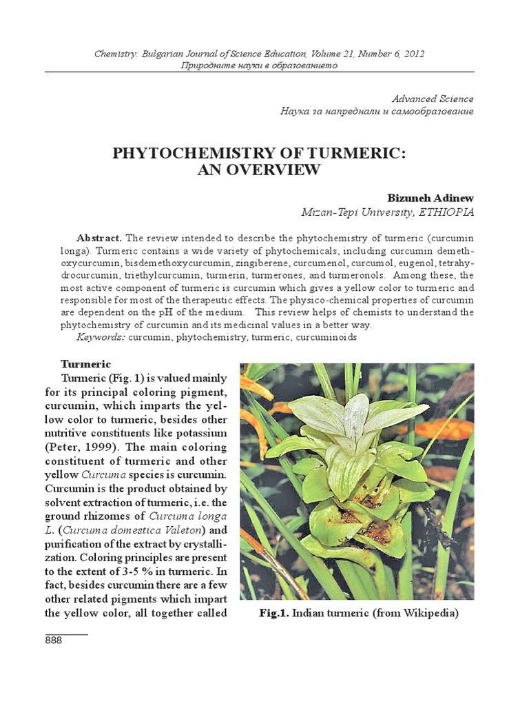 Phytochemistry of Turmeric | PDF | Turmeric | High Performance Liquid ...