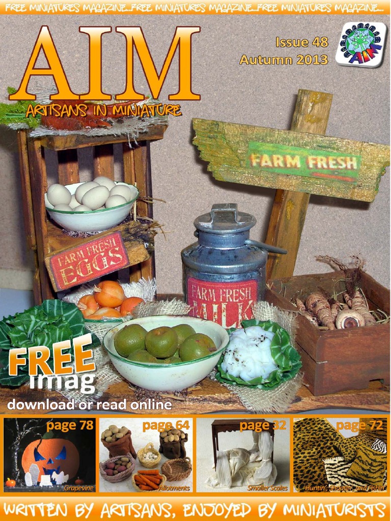 AIM IMag Issue 48 PDF | PDF | Toys | Toy Collecting