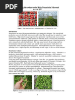 LSU-Ag Planting Guide | PDF | Vegetables | Fertilizer