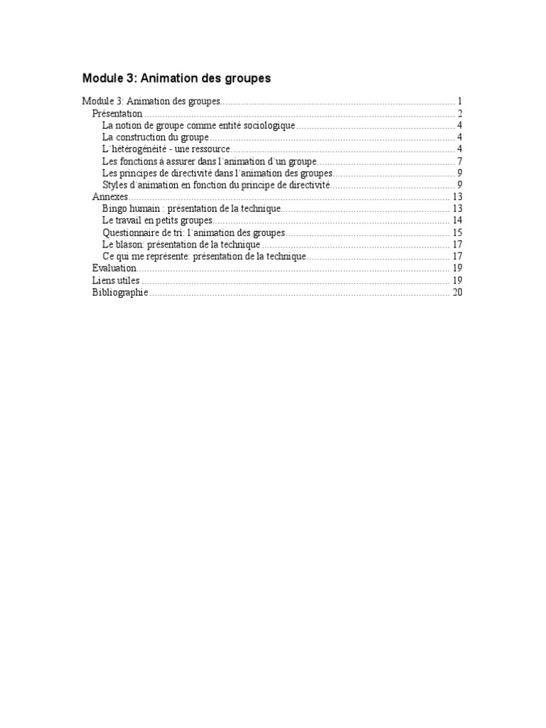 Module 3 Animation Des Groupes PDF | PDF