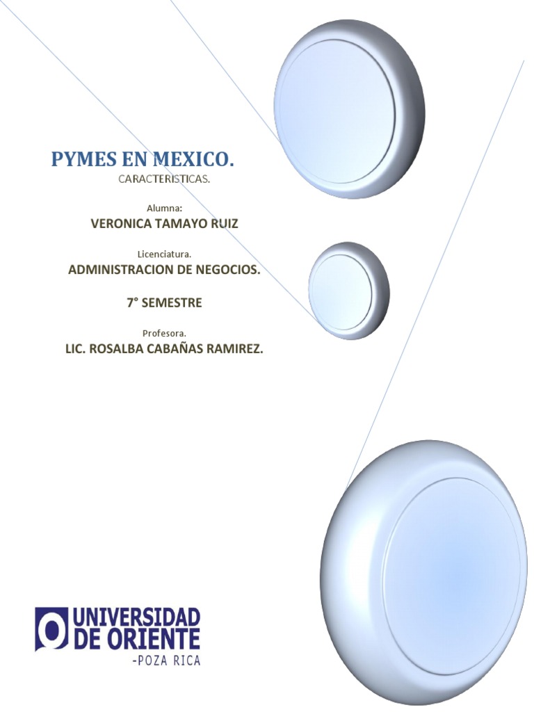 Pymes en Mexico | PDF | Pequeñas y medianas empresas | Economias