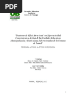 Berko Gleason. Desarrollo Del Lenguaje | PDF