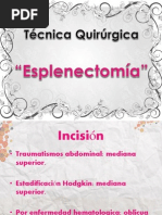 Incisión Rocky Davis | PDF | Medicina CLINICA | Anatomía