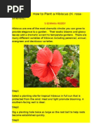 LSU-Ag Planting Guide | PDF | Vegetables | Fertilizer